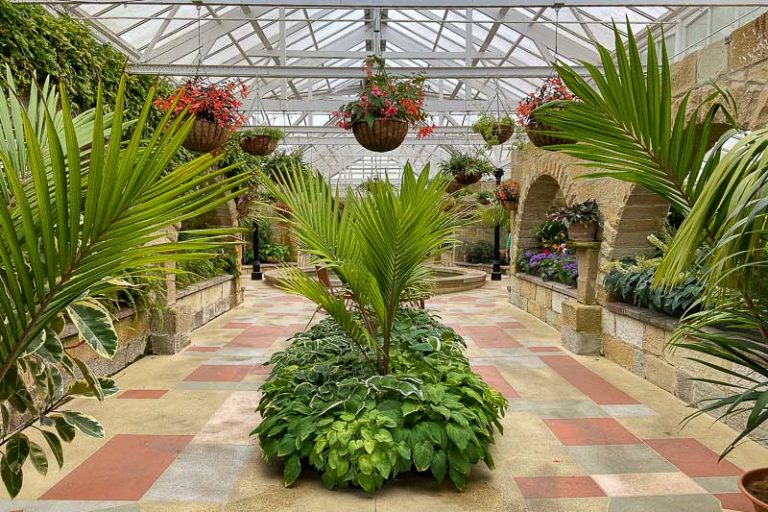 Royal Tasmanian Botanical Gardens