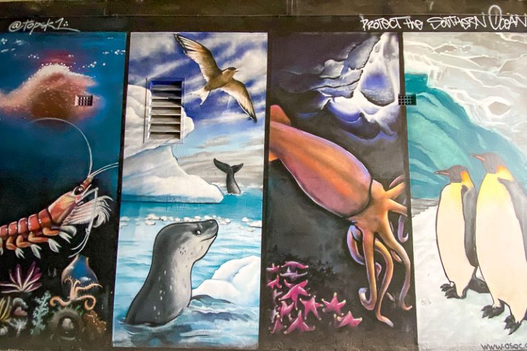 Finding the Best Hobart Street Art