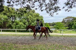 Centennial Parklands - Best Park in Sydney