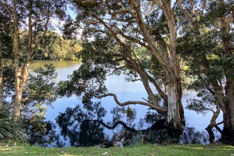 Centennial Parklands - Best Park in Sydney