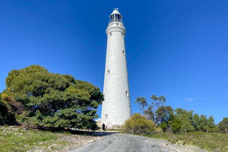 Things to do on Rottnest Island in Winter