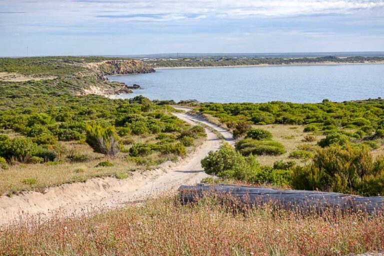 Road Tripping to Innes National Park