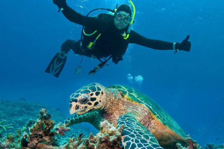 12 Adventure Activities In Cairns 12-adventure-activities-in-cairns