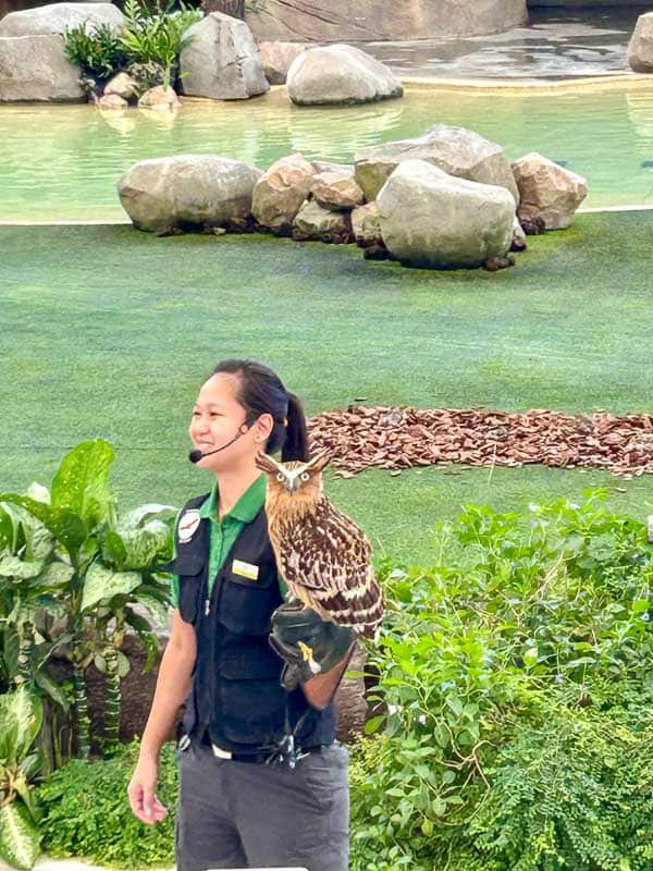 Which Mandai Wildlife Park to Choose