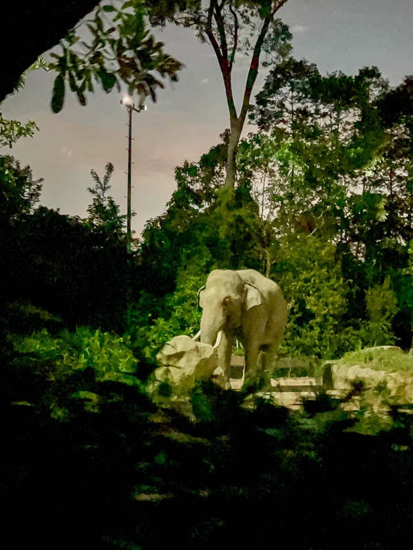 Which Mandai Wildlife Park to Choose