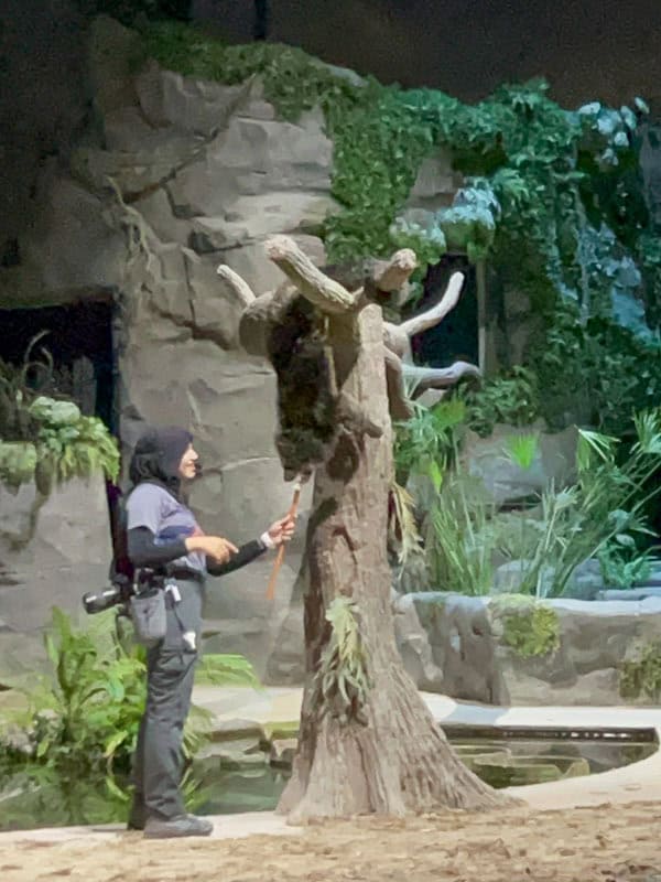 Which Mandai Wildlife Park to Choose