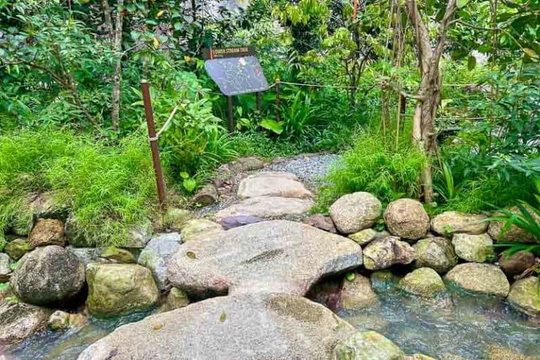 Which Mandai Wildlife Park to Choose