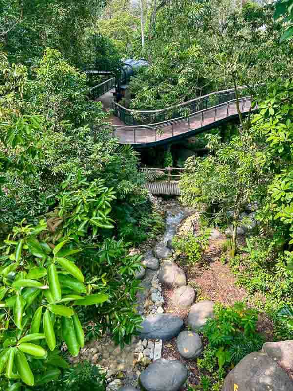 Which Mandai Wildlife Park to Choose