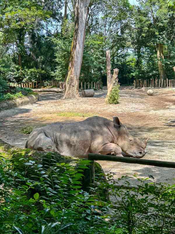 Which Mandai Wildlife Park to Choose